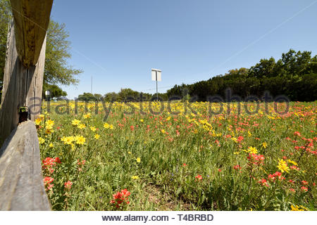 Lady Bird Johnson at the LBJ Ranch Austin Texas Stock Photo - Alamy