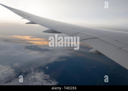 A plane flying over the Amazon rainforest looking down on a meandering ...