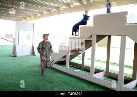 CAMP AS SAYLIYAH, Qatar – Lars, a German shepherd military working dog ...