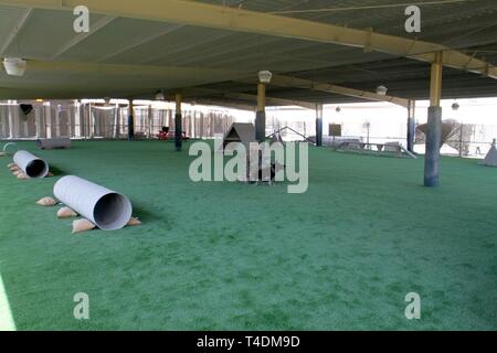 CAMP AS SAYLIYAH, Qatar – Lars, a German shepherd military working dog ...