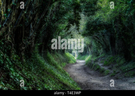 Mill Lane, Halnaker, Sussex, England, United Kingdom, Europe Stock ...