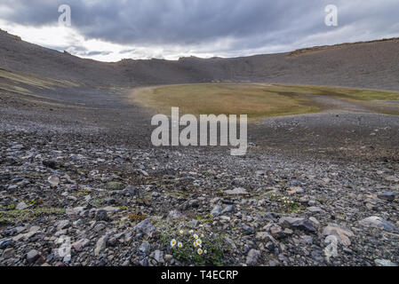 Amphitheatre shaped Hrossaborg crater in northeast part of Iceland ...