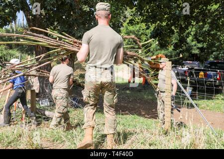 Soldiers from 209th Aviation Support Battalion, 25th Combat Aviation ...