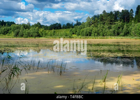 Summer day on Lake Golova, Valdaisky district, Novgorod region, Russia ...