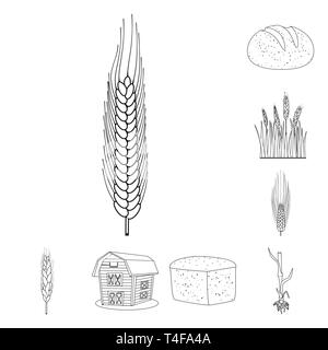 bread,spring,barley,granary,stem,winter,spike,building,root,meadow ...