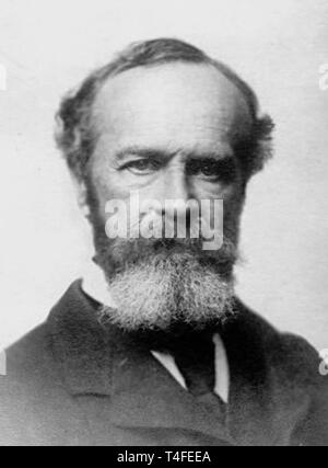 WILLIAM JAMES (1842-1910) American philosopher and psychologist Stock ...