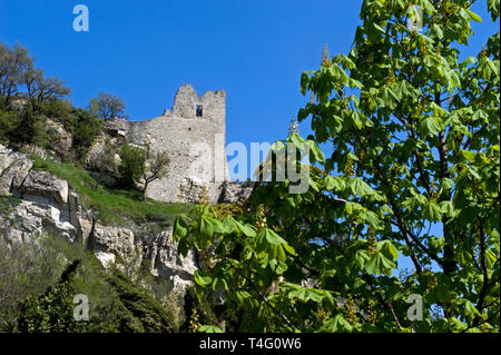 Ruins of Canossa Castle, Emilia Romagna, Italy, Europe Stock Photo - Alamy
