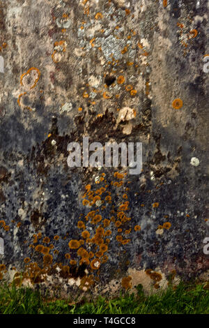 Abstract patterns of moss and decay on stonework Stock Photo - Alamy