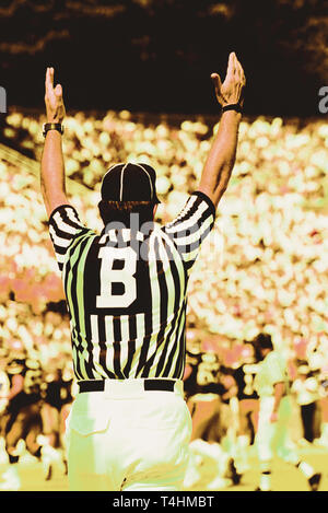 American football referee stands on the football field Stock Photo - Alamy