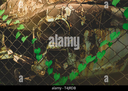 Old wrecked lorries in black and white scene. Abandoned rusty truck in ...