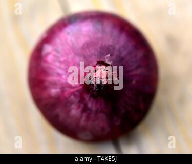 Red Onion (Allium cepa Stock Photo - Alamy