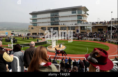 Racegoers in the parade ring at Cheltenham Racecourse Stock Photo - Alamy