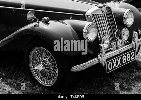 MG TF radiator and headlight. Car on display at the Lakeland Motor ...