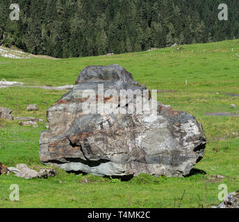 Big rock on grass Stock Photo - Alamy