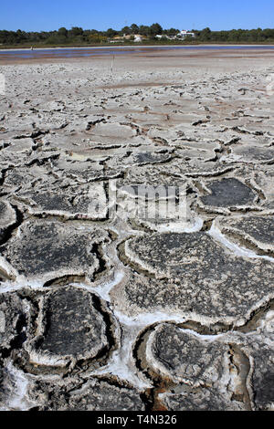 Sea salt production, salt pans, Salinas de Janubio, Lanzarote, Canary ...