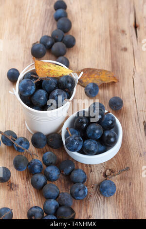 Blackthorn berry (sloe) in a bowl on wooden table Stock Photo - Alamy