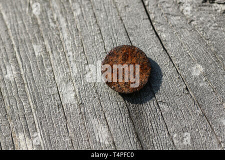 rusty nail head Stock Photo - Alamy