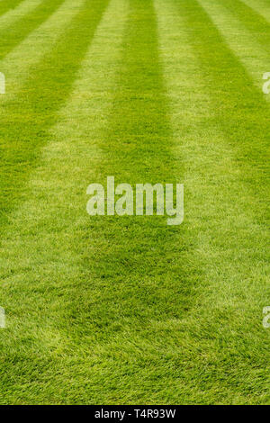 Peaceful Garden. Beautiful Garden with a Freshly Mowed Lawn ...