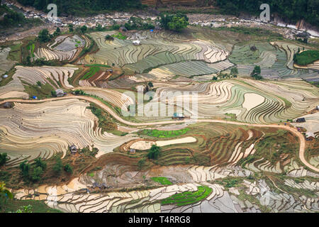 The image is as beautiful as the oil painting of terraced field. Curved ...