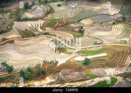The image is as beautiful as the oil painting of terraced field. Curved ...