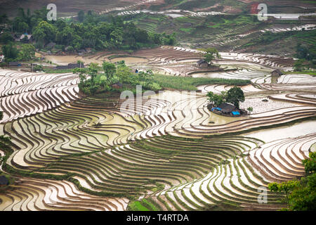 The image is as beautiful as the oil painting of terraced field. Curved ...