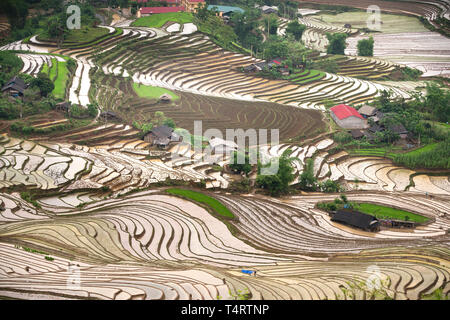 The image is as beautiful as the oil painting of terraced field. Curved ...