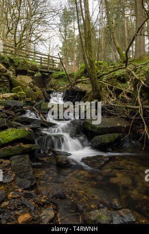 Small waterfall from Halldale Woods, Derbyshire - Peak district UK ...