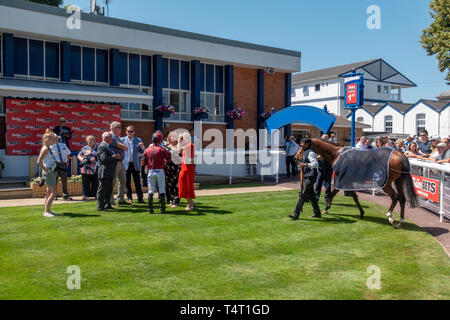 Horse Race Winners Circle Stock Photo - Alamy
