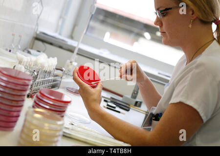 nurse at work in laboratory Stock Photo - Alamy