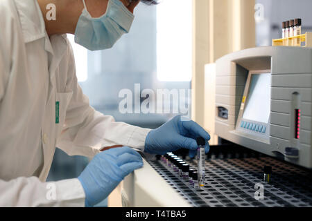 Nurse at the laboratory examination of TB (tuberculosis Stock Photo - Alamy