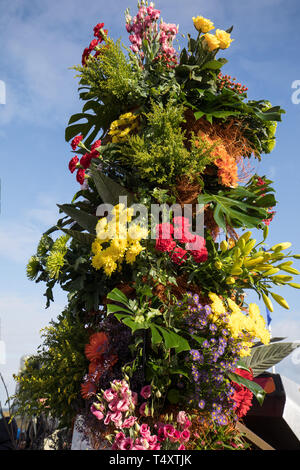 Floristic decoration with tropical flowers against a blue sky Stock ...