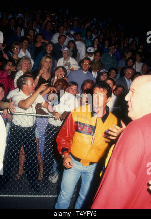 PHOENIX, ARIZONA - MARCH 27: Fans line up to see the WWE WrestleMania ...
