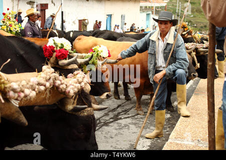 Merida, Venezuela - May 15, 2017: Local people celebrating the festival ...