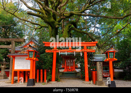 A huge wooden torii gate is at the entrance to the Meiji Jingu Shrine ...