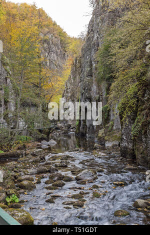 Amazing view of Devin river gorge, Rhodope Mountains, Bulgaria Stock ...