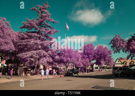 Tourists in street, white trees, blue sky. small town street Stock ...