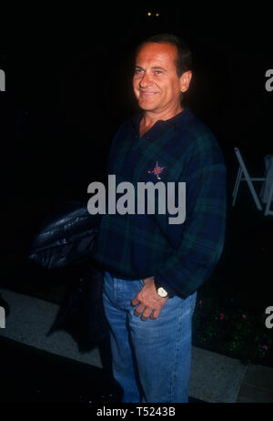 JOE PESCI in MY COUSIN VINNY (1992), directed by JONATHAN LYNN. Credit ...