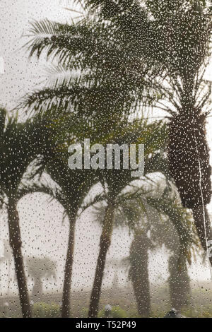 Rain drops are seen on the window of a Boeing 737 airliner in Athens ...