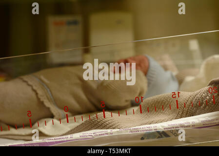 newborn baby (4kg) in the hospital being measured Stock Photo - Alamy