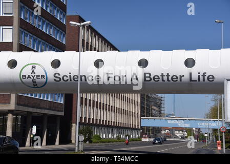 Bayer chemical industry park, Leverkusen, North Rhine-Westphalia ...