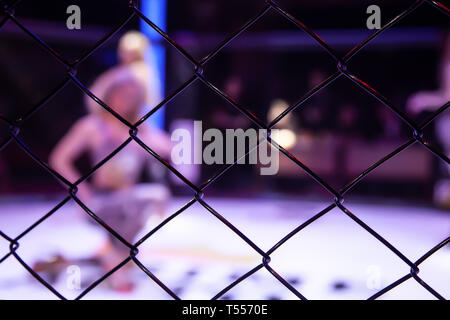 intense young female MMA fighter in her fight stance Stock Photo - Alamy