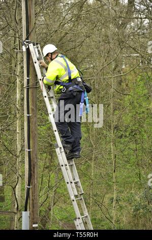 An Openreach engineer up a ladder working on a telephone line ...
