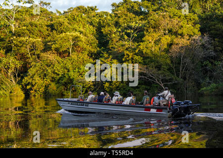 Tourists exploring the Amazon on a skiff Stock Photo - Alamy