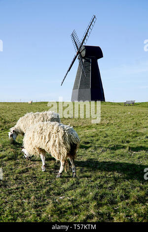 Rottingdean Windmill, East Sussex Stock Photo - Alamy