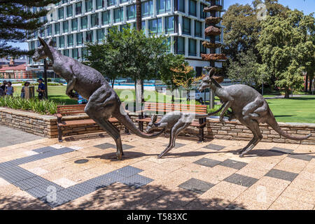 Australia, Western Australia, Perth, downtown, kangaroos statue Stock ...