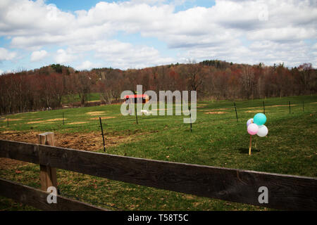 June Farm in New York Stock Photo - Alamy