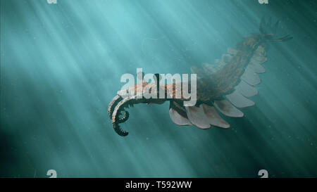 Anomalocaris, prehistoric creature of the Cambrian period (3d science ...
