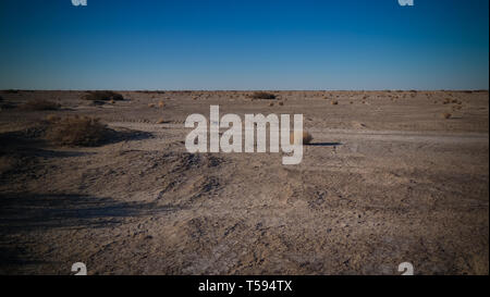Landscape of aralkum desert as a bed of former Aral sea, Karakalpakstan ...