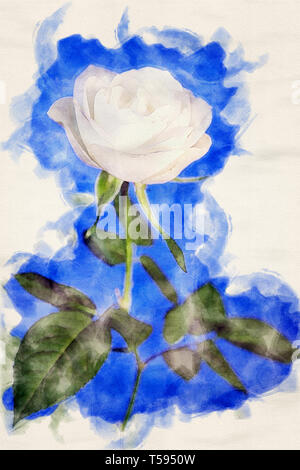 Close up Beautiful one blue Bird feather on a bokeh. Pattern background ...