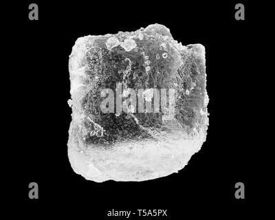 Microscopic view of sodium chloride crystals. Darkfield illumination ...